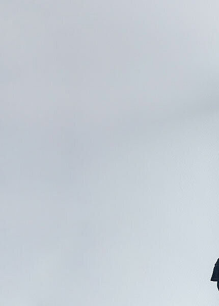 TELENOT Security Systems | TELENOT